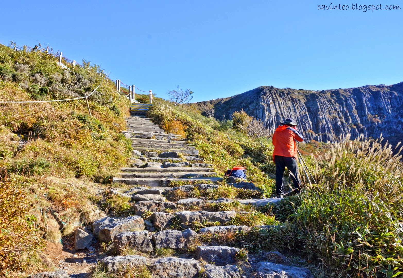 Entree Kibbles: Yeongsil Trail Up Mount Halla (Hallasan) Part 1 @ Jeju ...